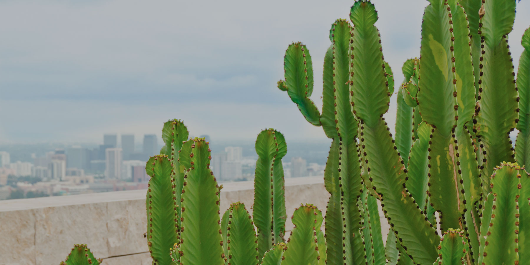 Blog - The Durfee Foundation