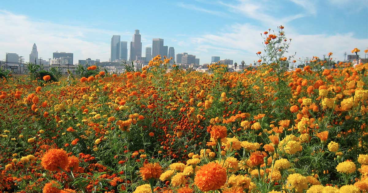 Our Mission - The Durfee Foundation